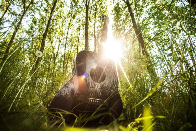 Tree Songs — Trees Group